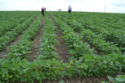 Land Stewardship Project - Fostering an ethic of stewardship for ...