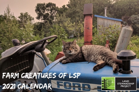 Land Stewardship Project - Fostering an ethic of stewardship for ...