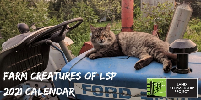 Land Stewardship Project - Fostering an ethic of stewardship for ...