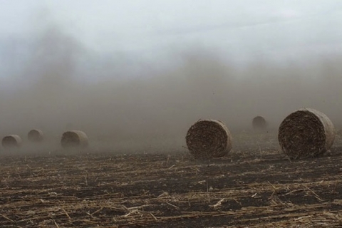 Land Stewardship Project - Fostering an ethic of stewardship for ...