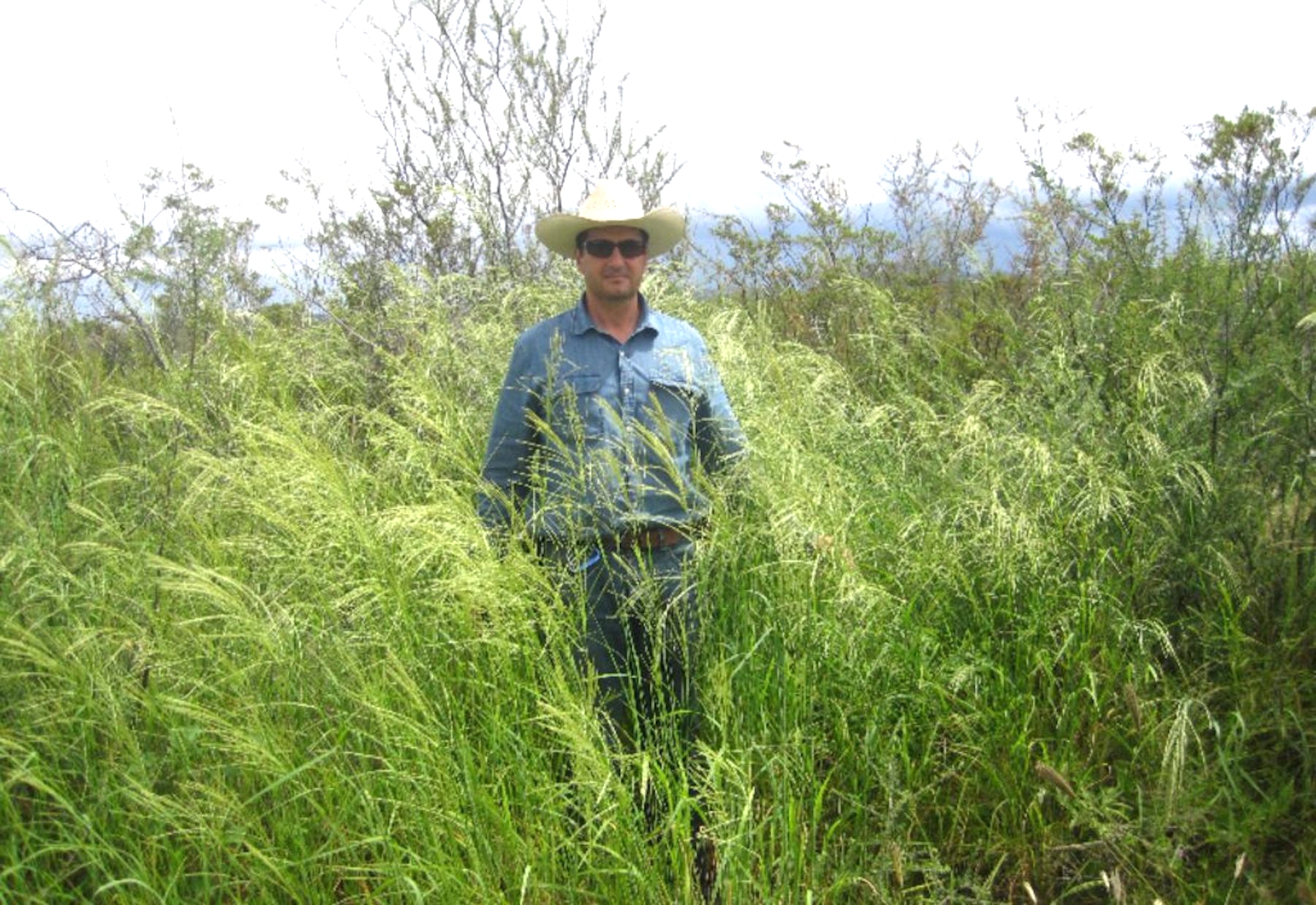 Ear to the Ground 270: It Doesn’t Rain Grass - Land Stewardship Project