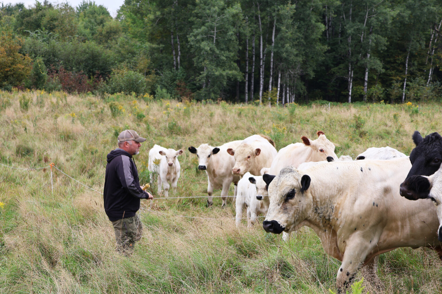 Ear to the Ground 391: Grounded in Grazing - Land Stewardship Project