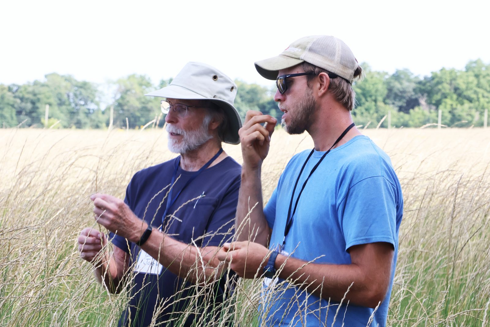 Ear to the Ground 365: Perennial Pivot - Land Stewardship Project