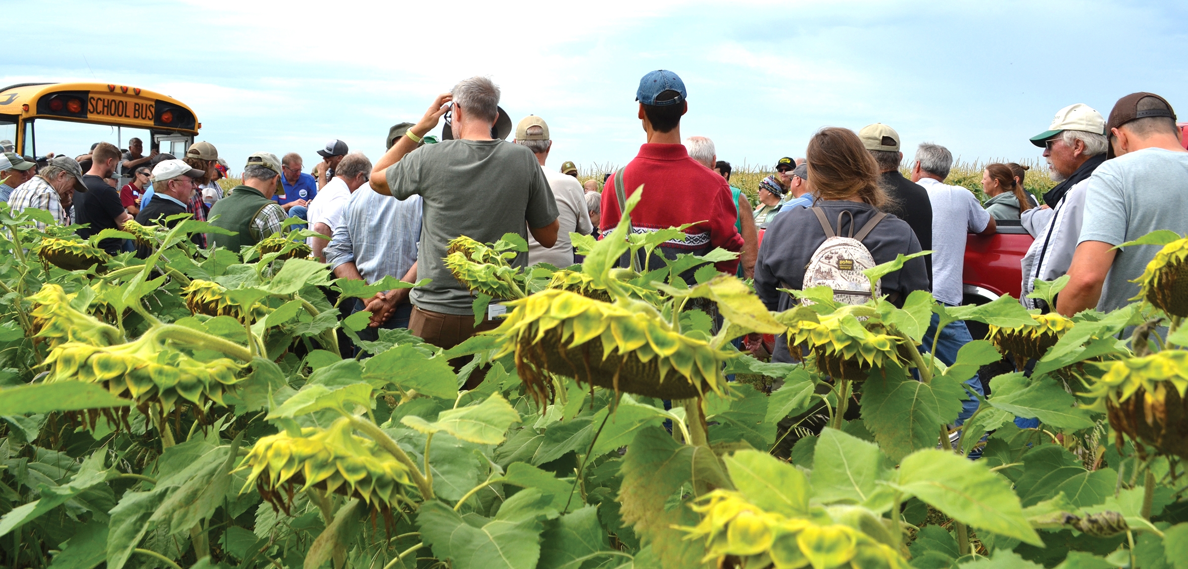 Networking Event for Farmers Invested in Soil Health & Sustainable ...