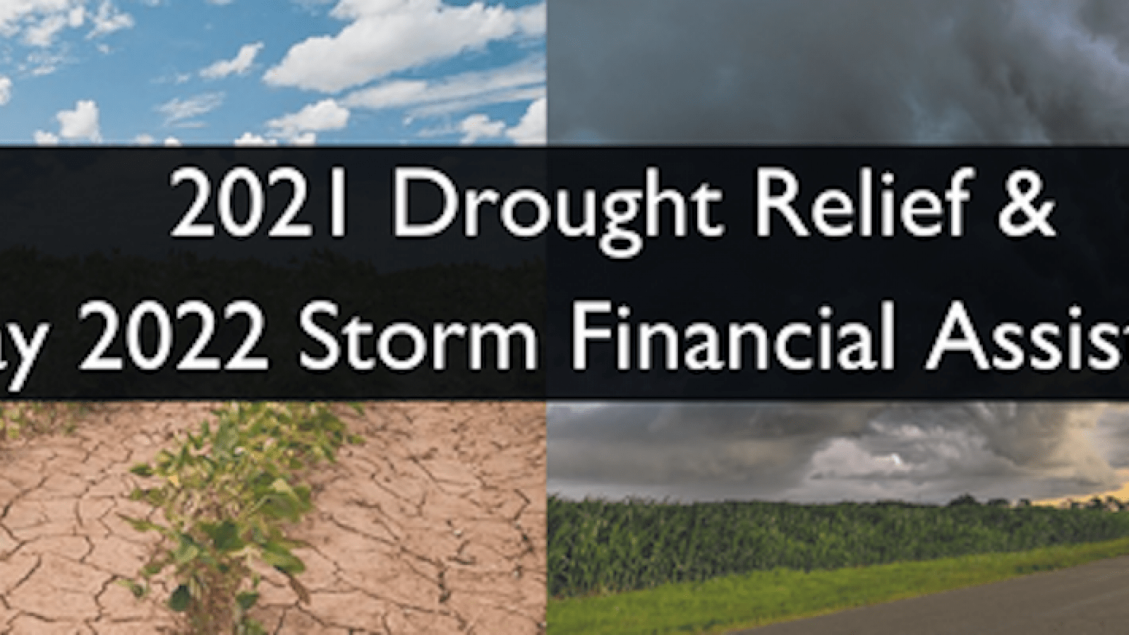 Policy Campaigns - Land Stewardship Project