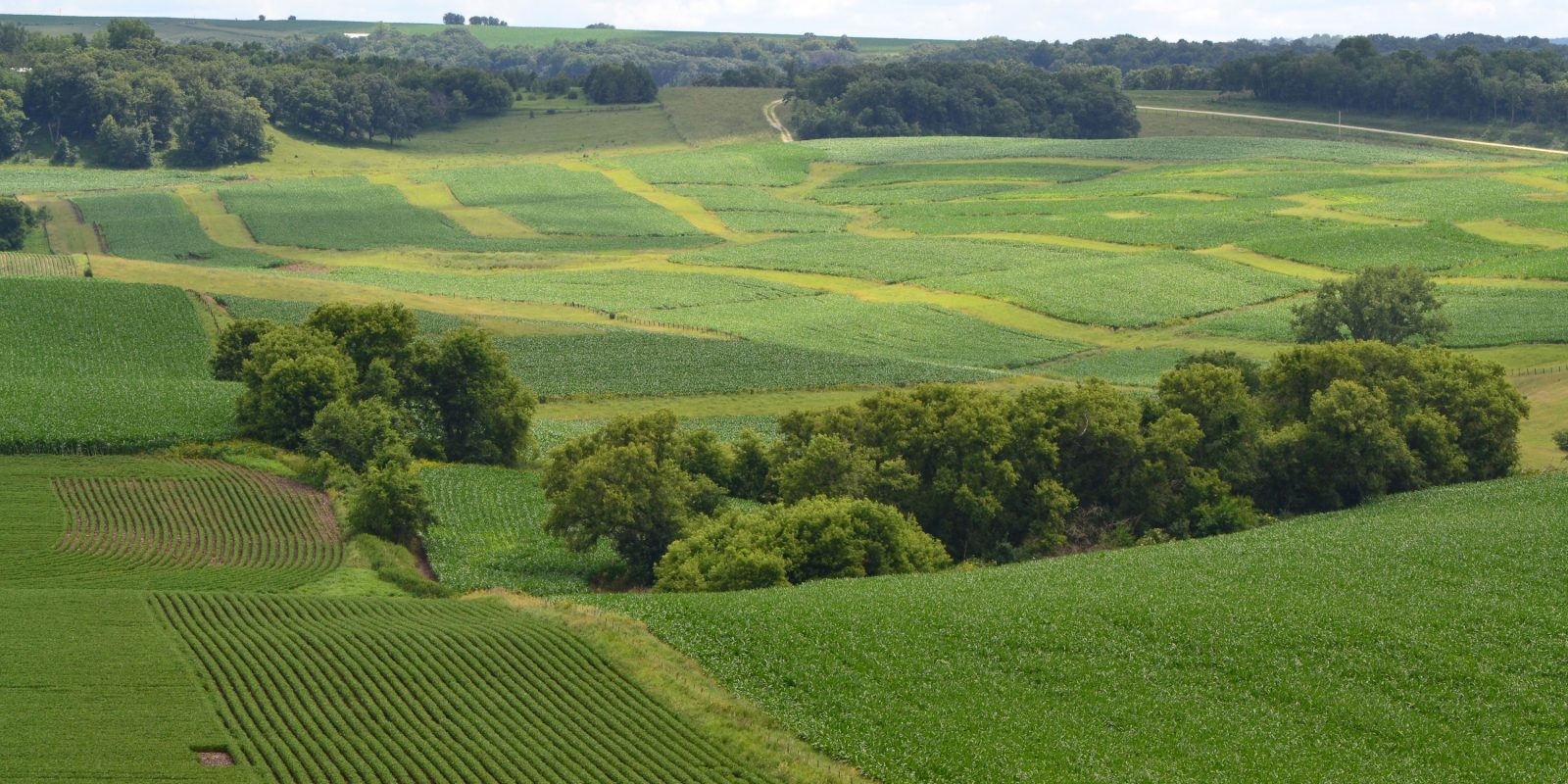 Land Stewardship Project - Promoting Sustainable Agriculture