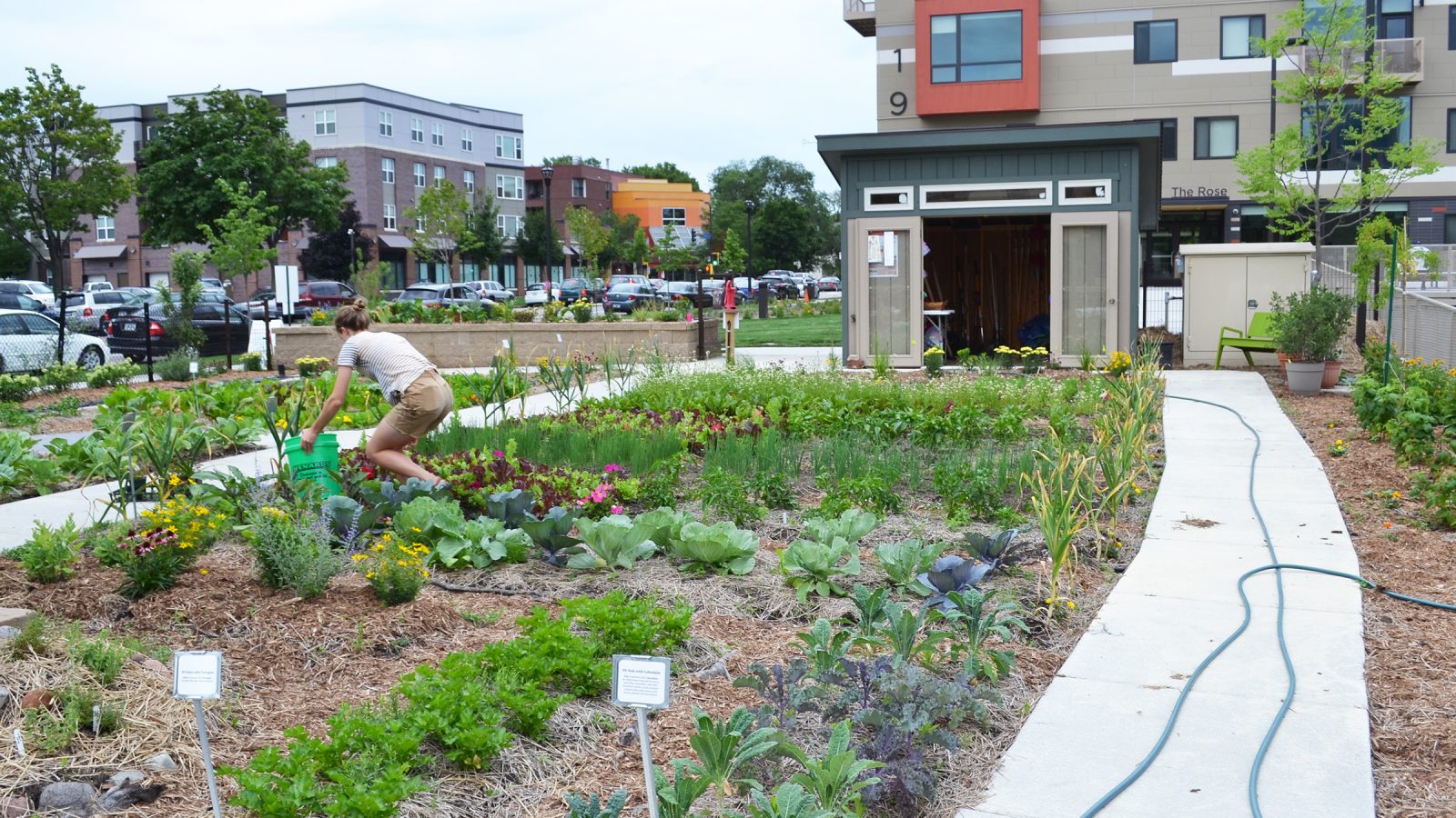 Land Stewardship Project - Promoting Sustainable Agriculture