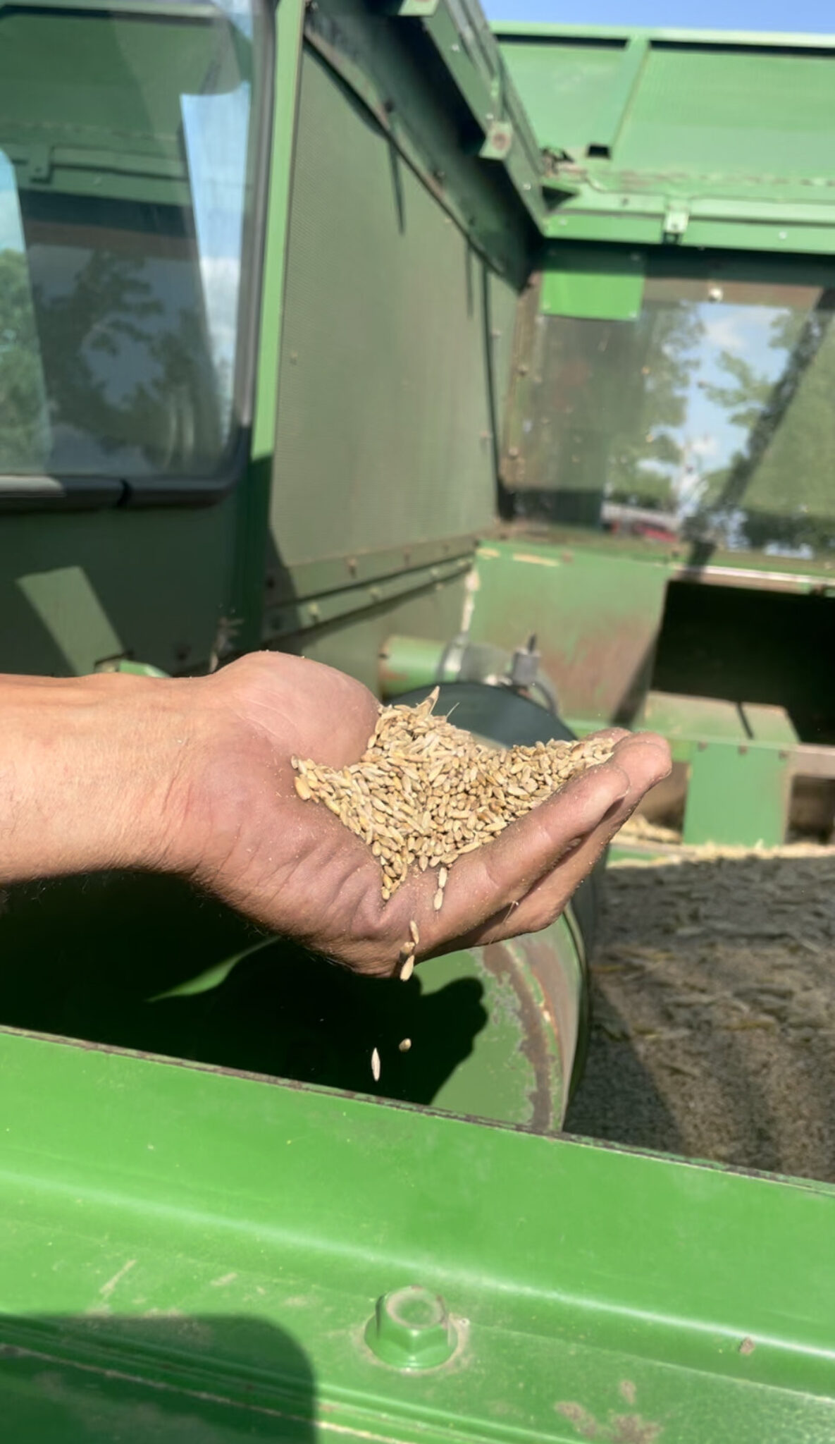 Growing New Grains for Better Bread - Land Stewardship Project