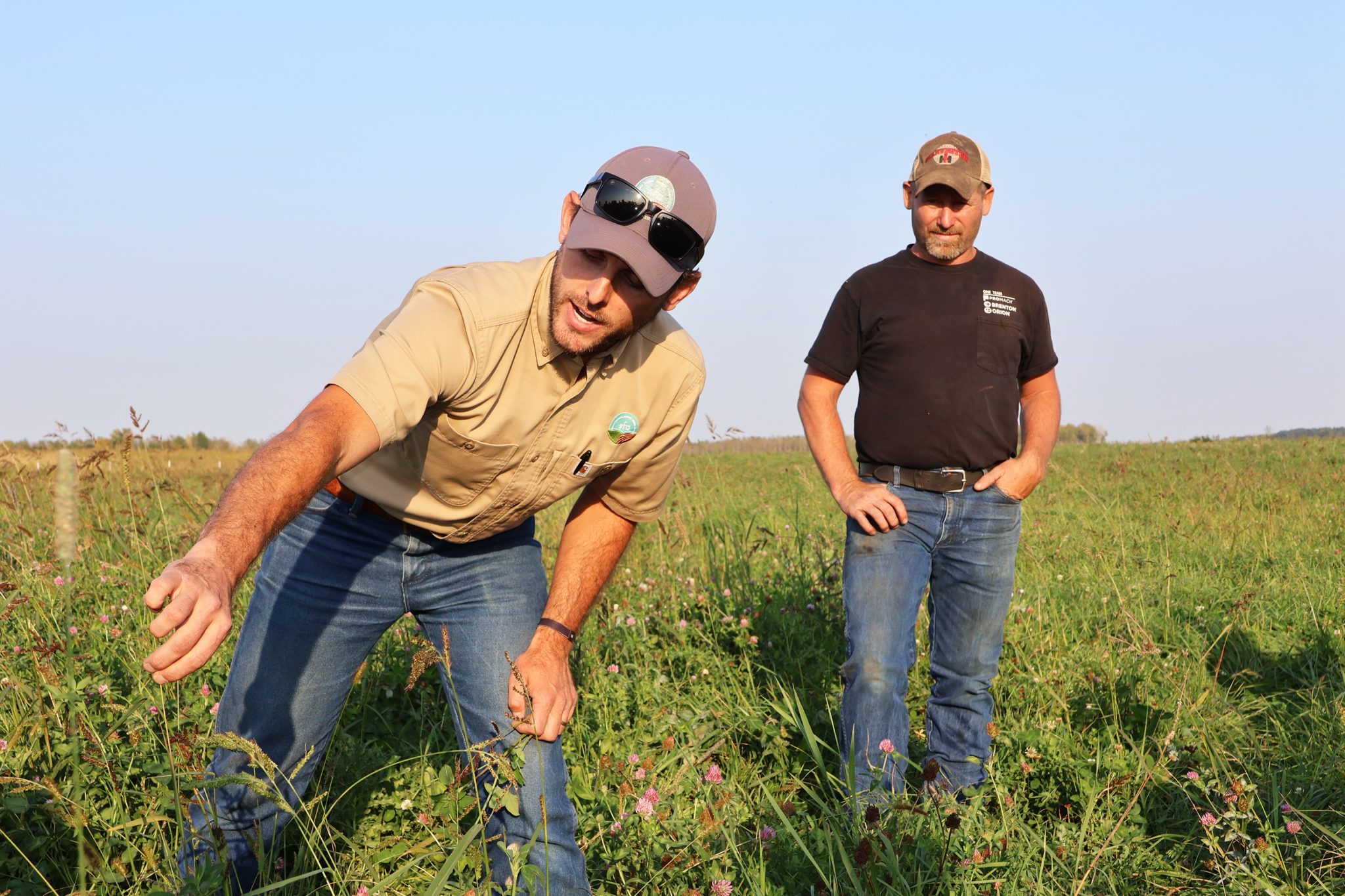 A Sense of Where You Are: Forest for the Trees - Land Stewardship Project