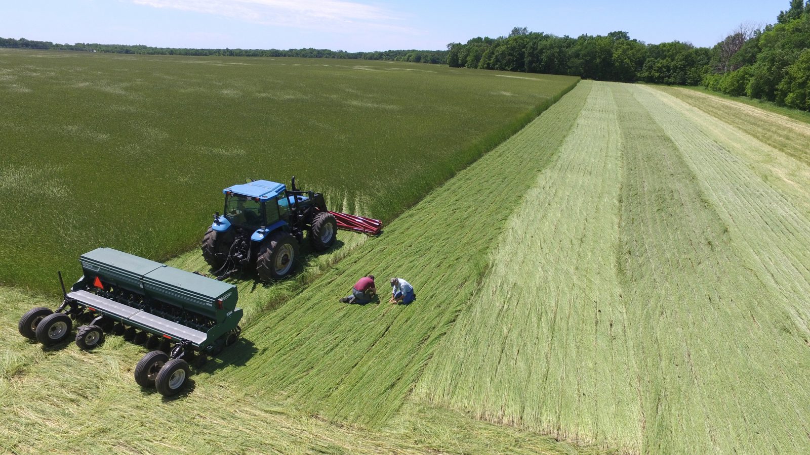 Cover Crops - Land Stewardship Project