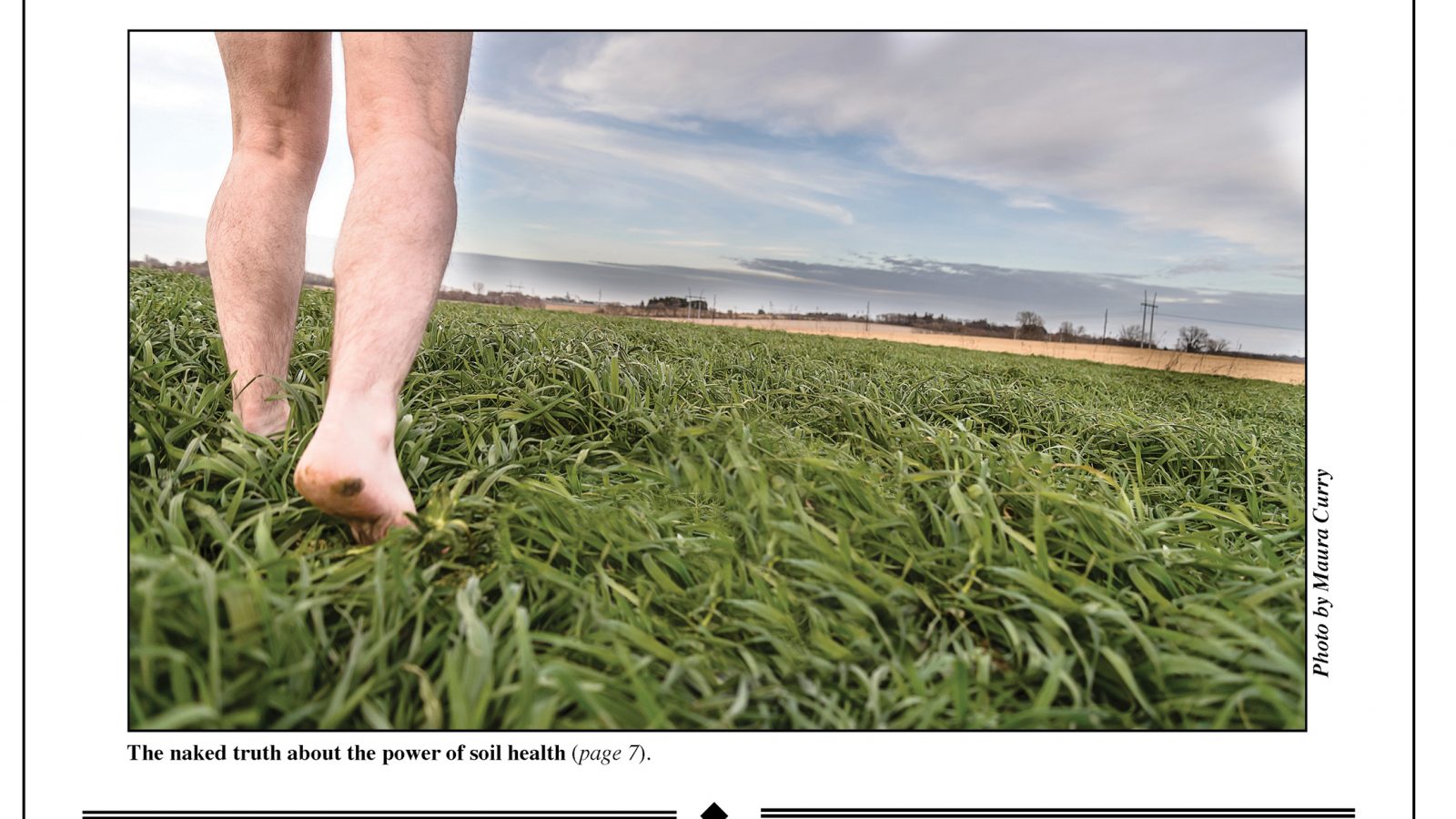 Land Stewardship Project - Promoting Sustainable Agriculture