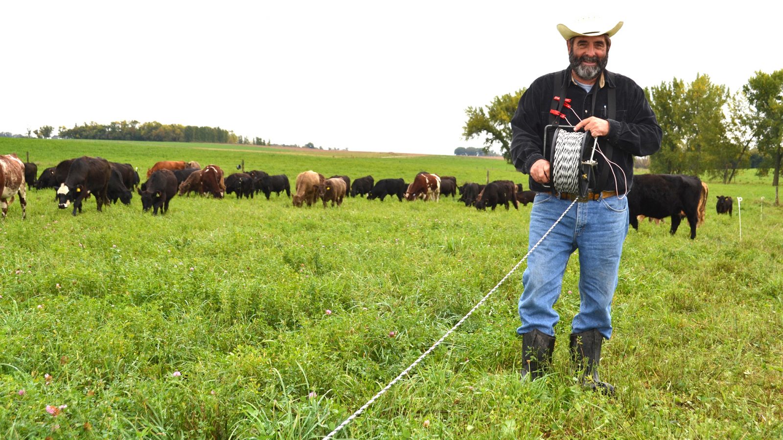 Accessing Farmland - Land Stewardship Project