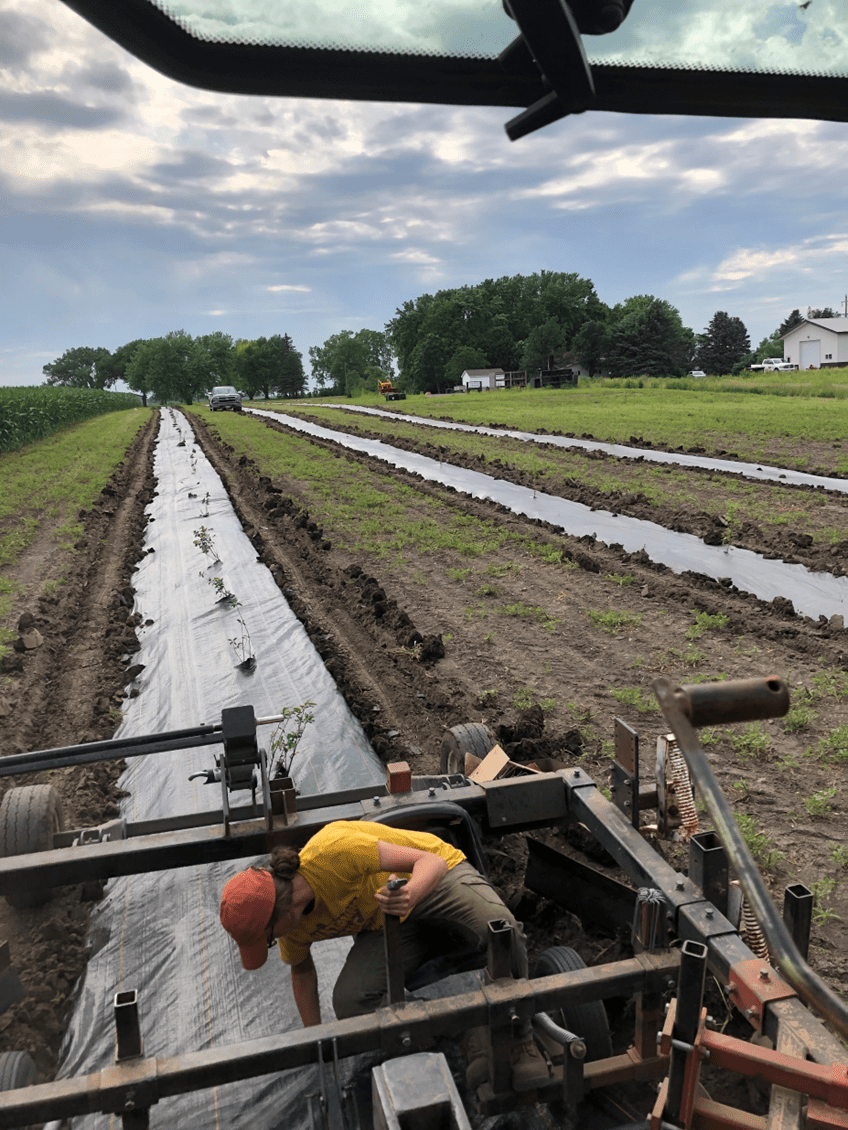 Minnesota Soil Health Story: Rhyan Schicker - Land Stewardship Project
