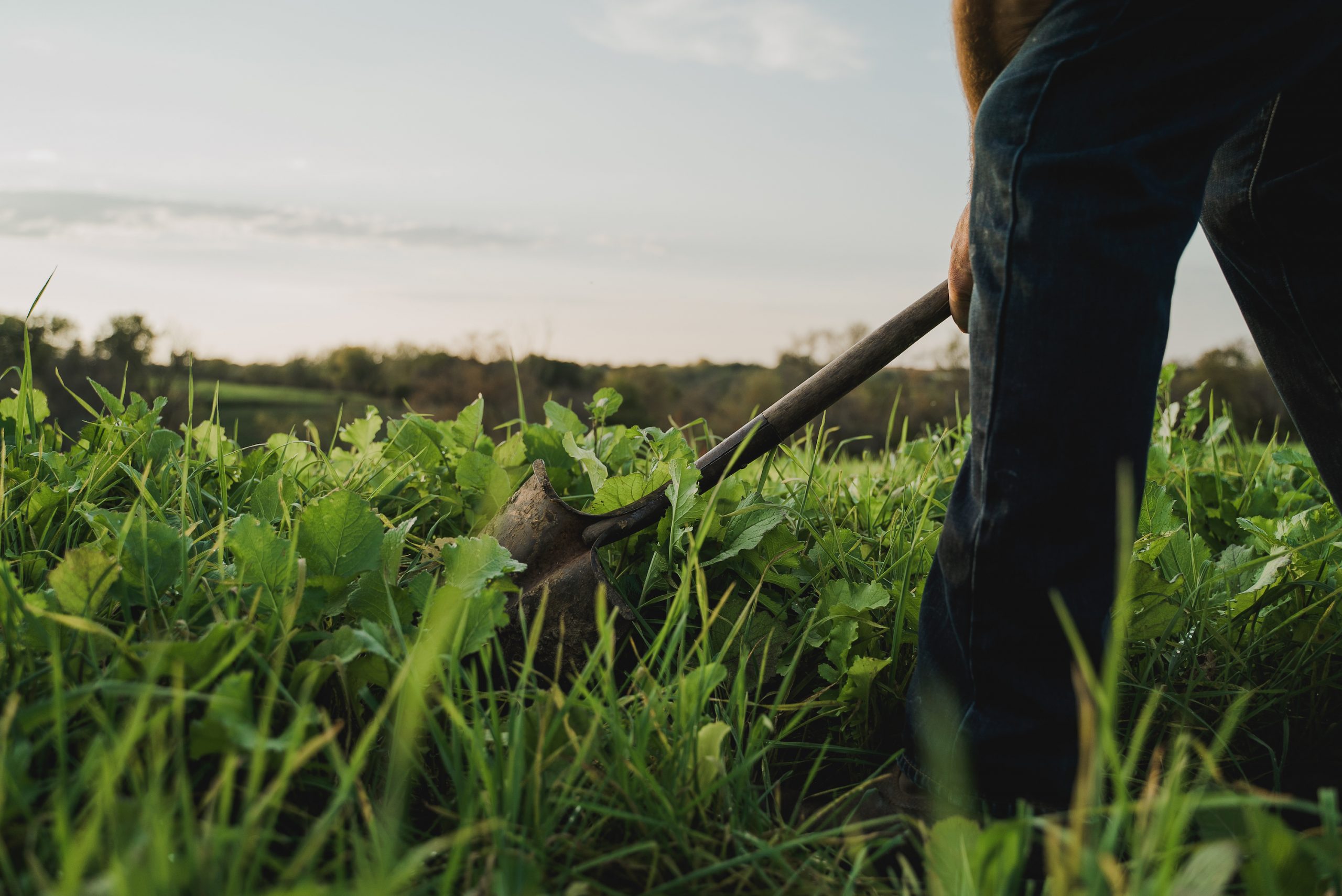 Stop Big Ag From Raiding Working Lands Conservation Funding - Land ...