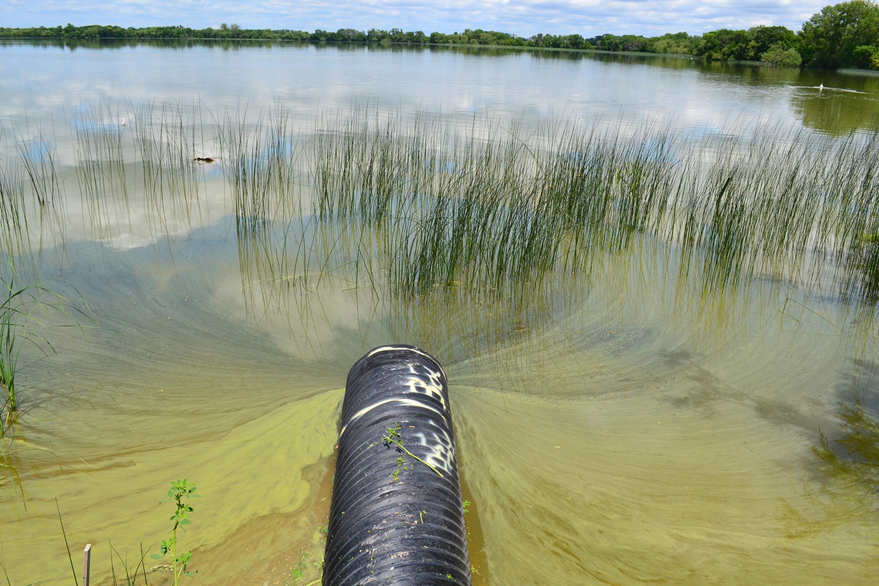 Comments Needed: New MPCA General Feedlot Permits - Land Stewardship ...