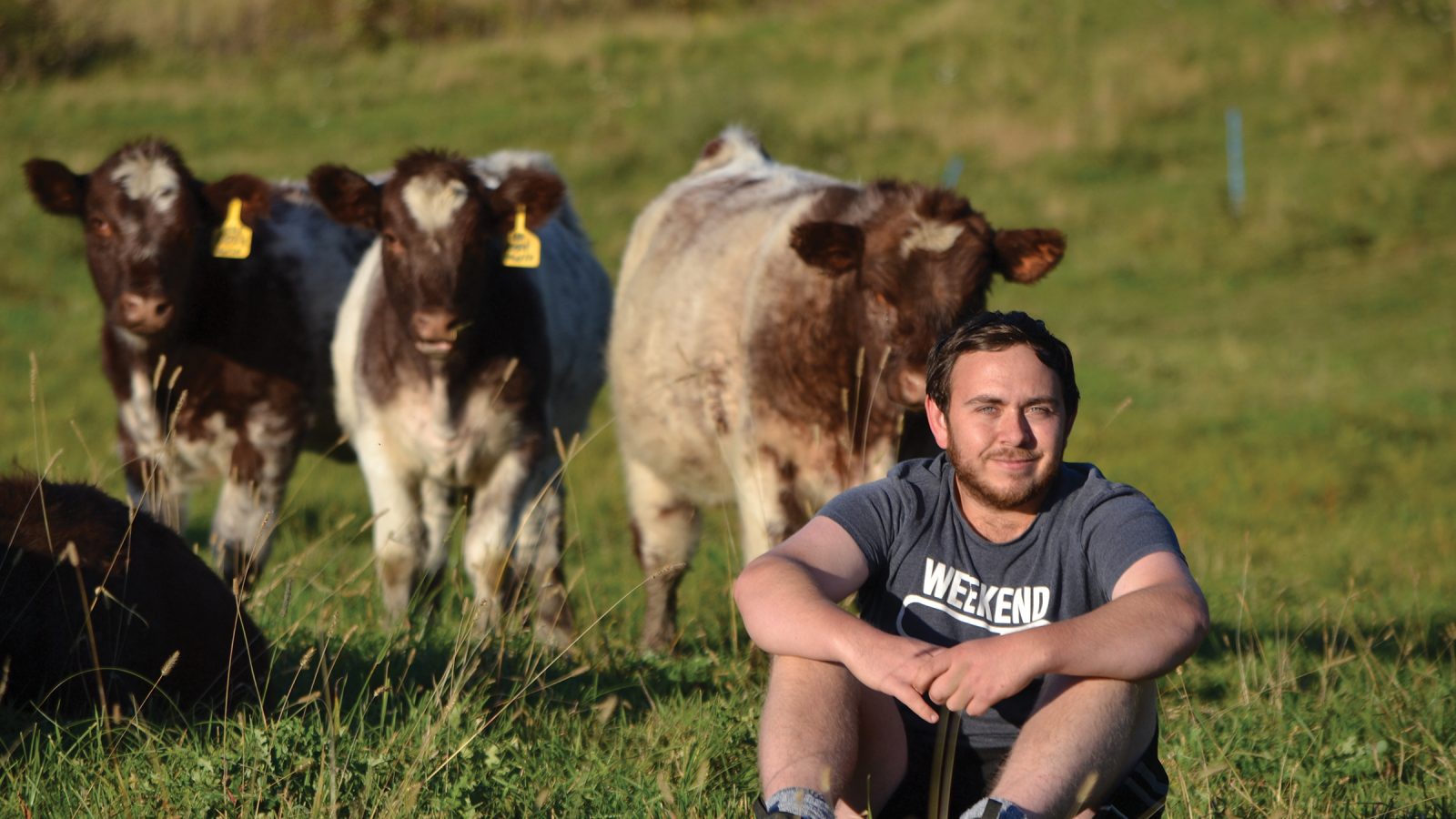 Grazing - Land Stewardship Project