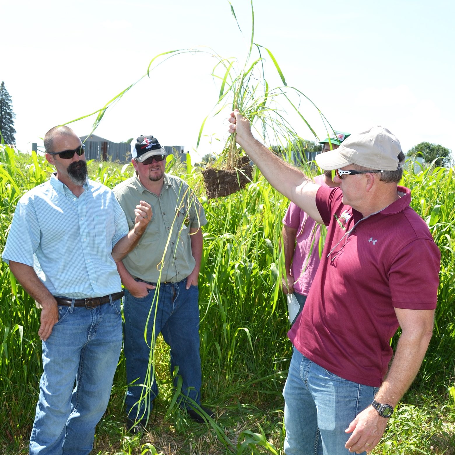 Ear to the Ground No. 290: Silt Suppression - Land Stewardship Project