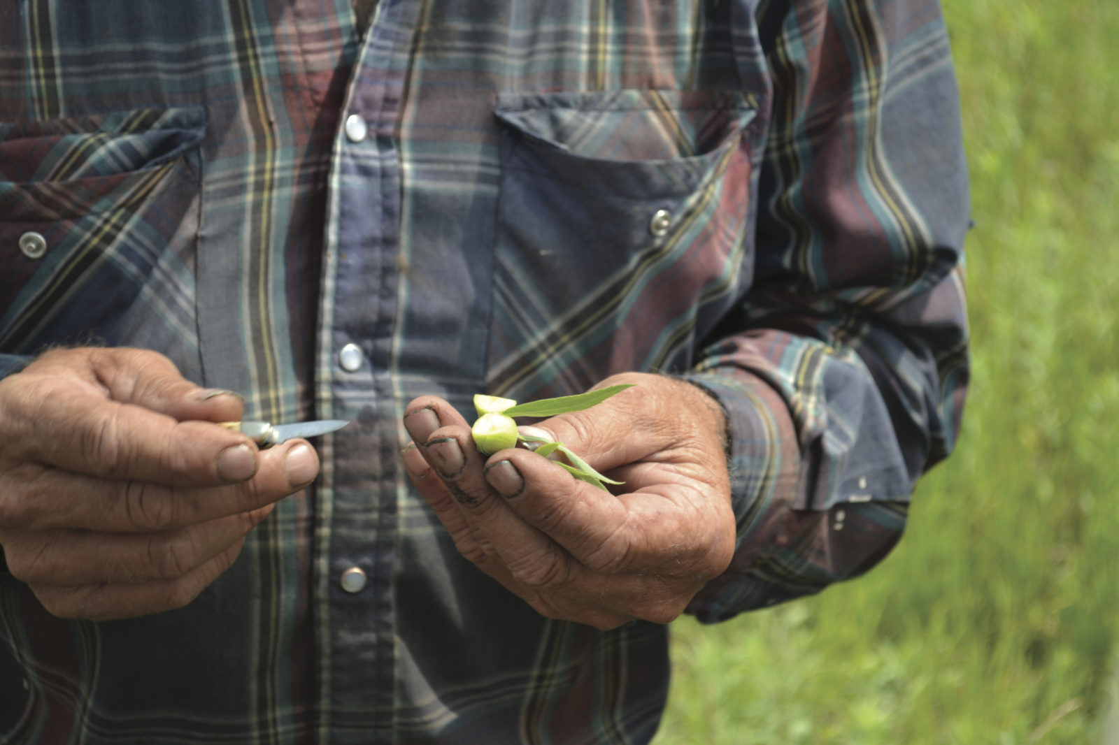 Our Mission - Land Stewardship Project