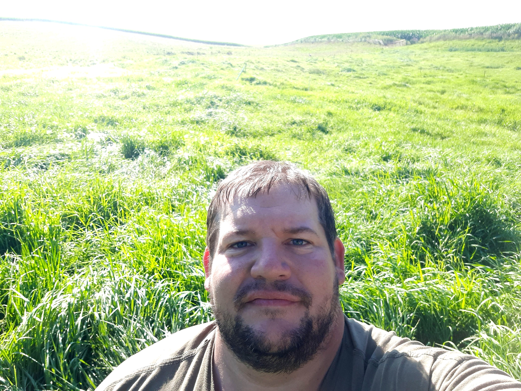 LSP Pasture Walk to Feature Spring Grazing of Cover Crops May 19 near ...