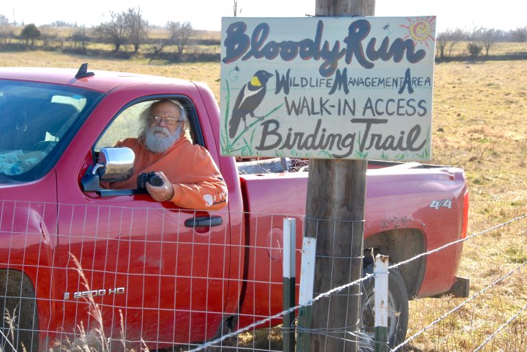 Ear to the Ground 275: Blurring the Bobolink Boundaries - Land ...
